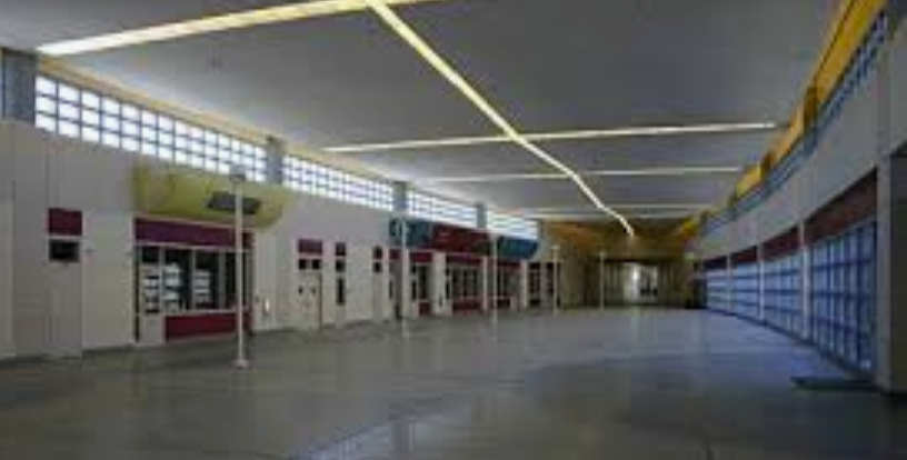 Cost of the Shadow Prison in California - Just Future Project